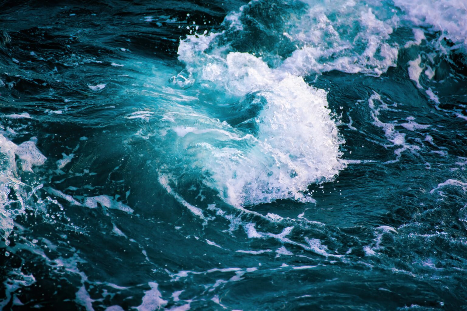 David Gaitán invencible.net